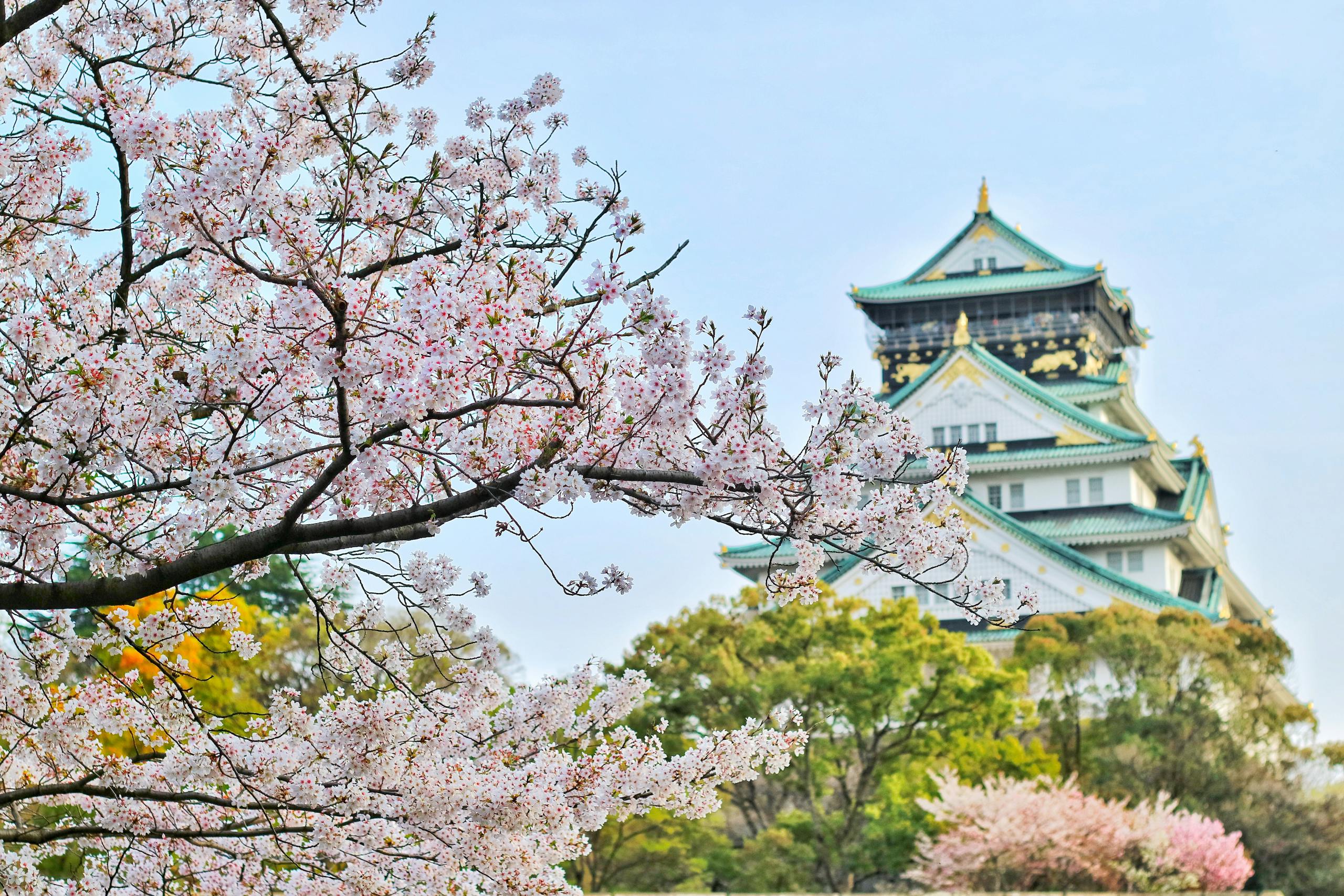 6 Japanese Wealth Secrets: How Japan Builds Wealth Quietly — And How ...